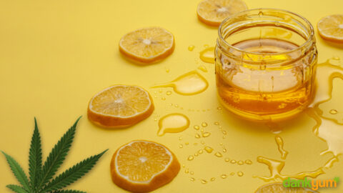 Easy Cannabis Infused Simple Syrup Recipe (THC Syrup) | Dank Yum