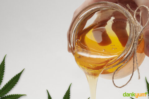 Easy Cannabis Infused Simple Syrup Recipe (THC Syrup) | Dank Yum